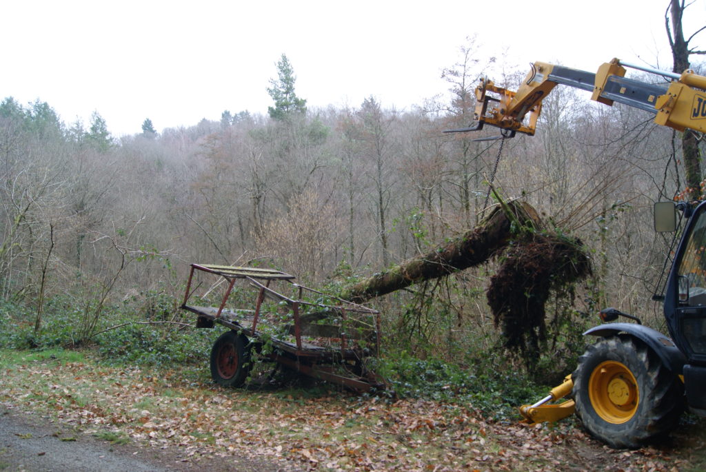 Nettoyage défrichage – CICADEM